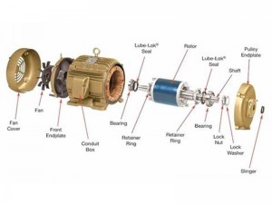 Motors - Exploded Views | 1 & 3 Phase | James Electric